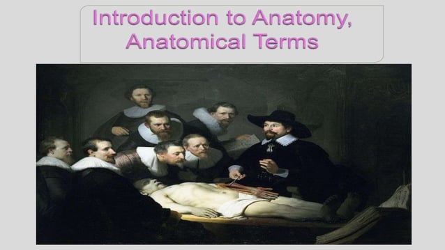 Anatomical Terms AN1.1.pptx