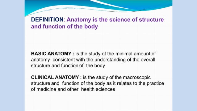 Anatomical Terms AN1.1.pptx