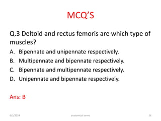 Anatomical Terms and radiological anatomy.pptx