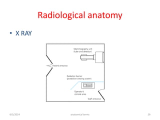 Anatomical Terms and radiological anatomy.pptx