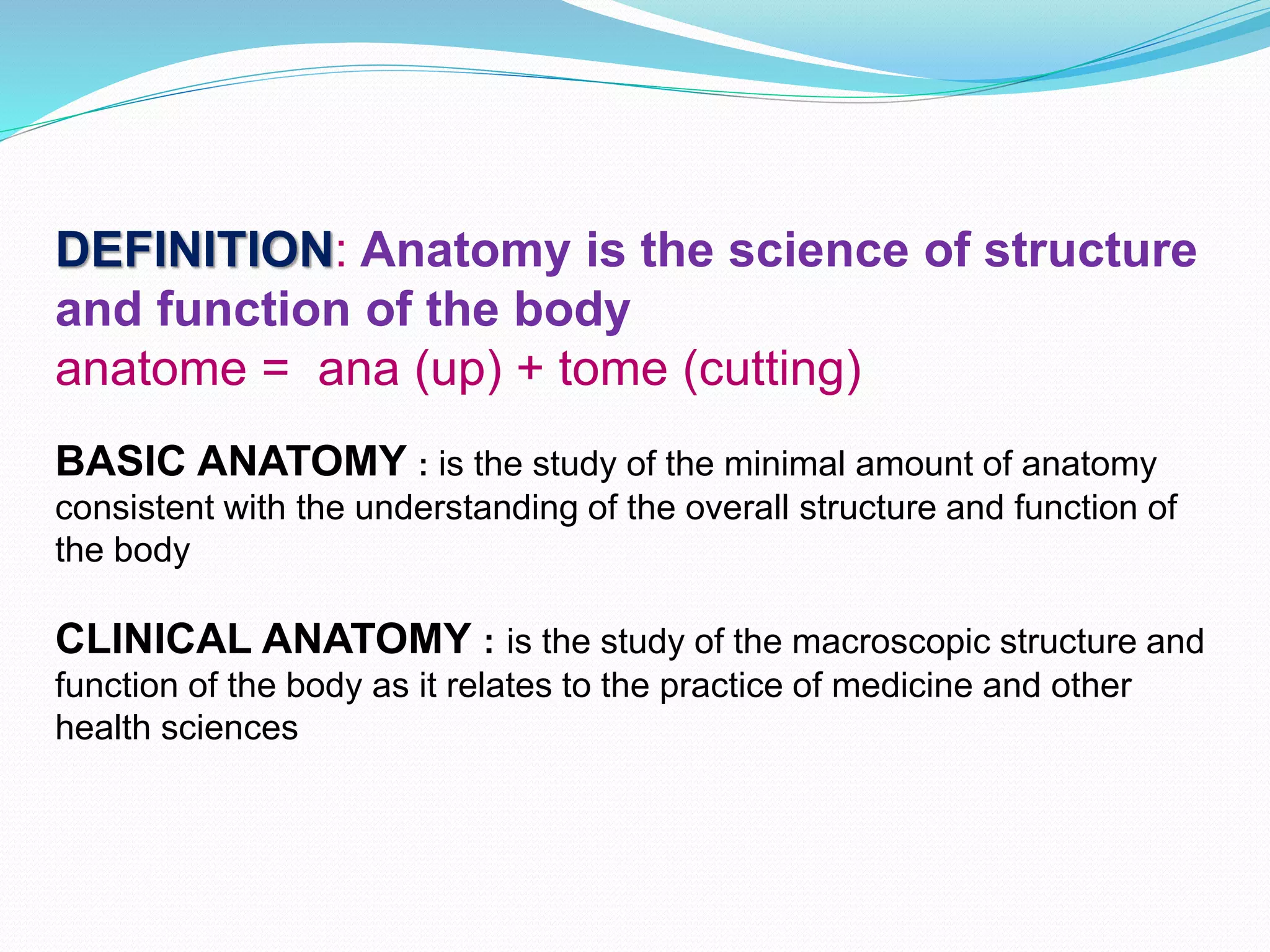 Anatomicalterms.pdf