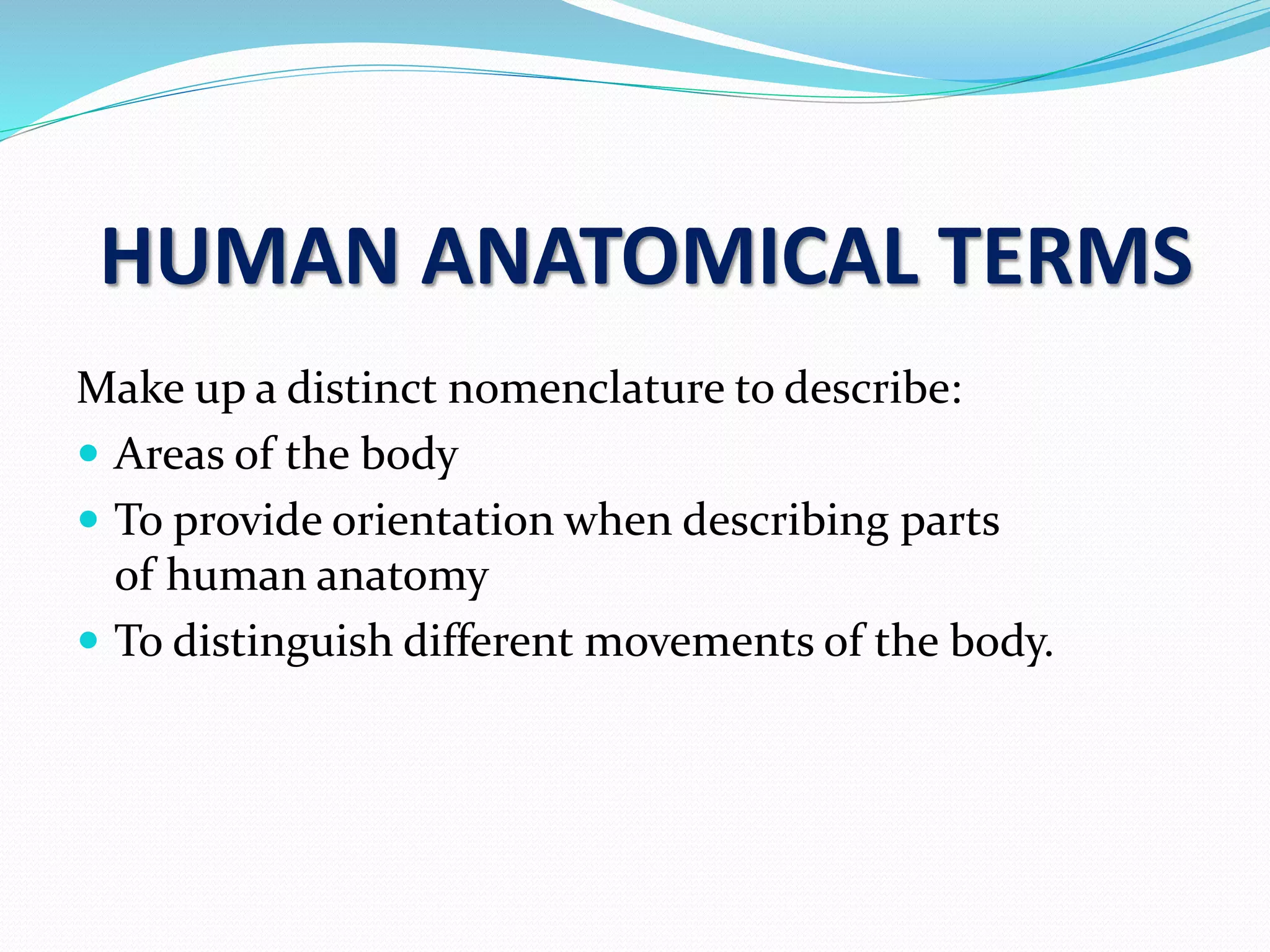 Anatomicalterms.pdf