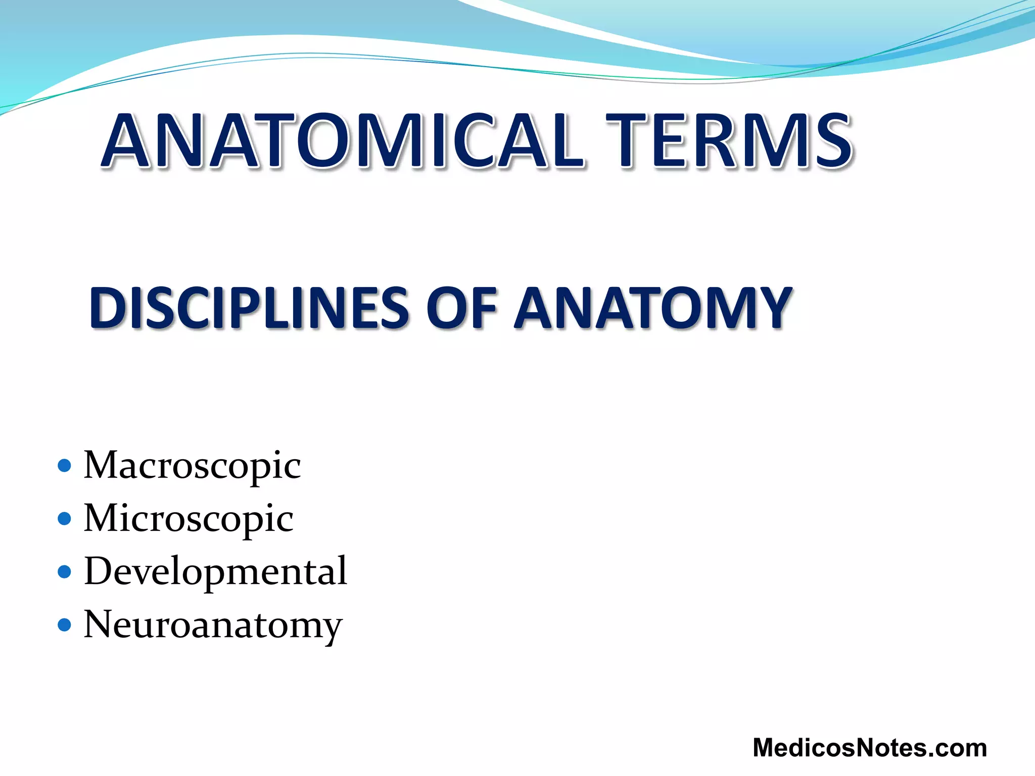 Anatomical terms medicosnotes.com