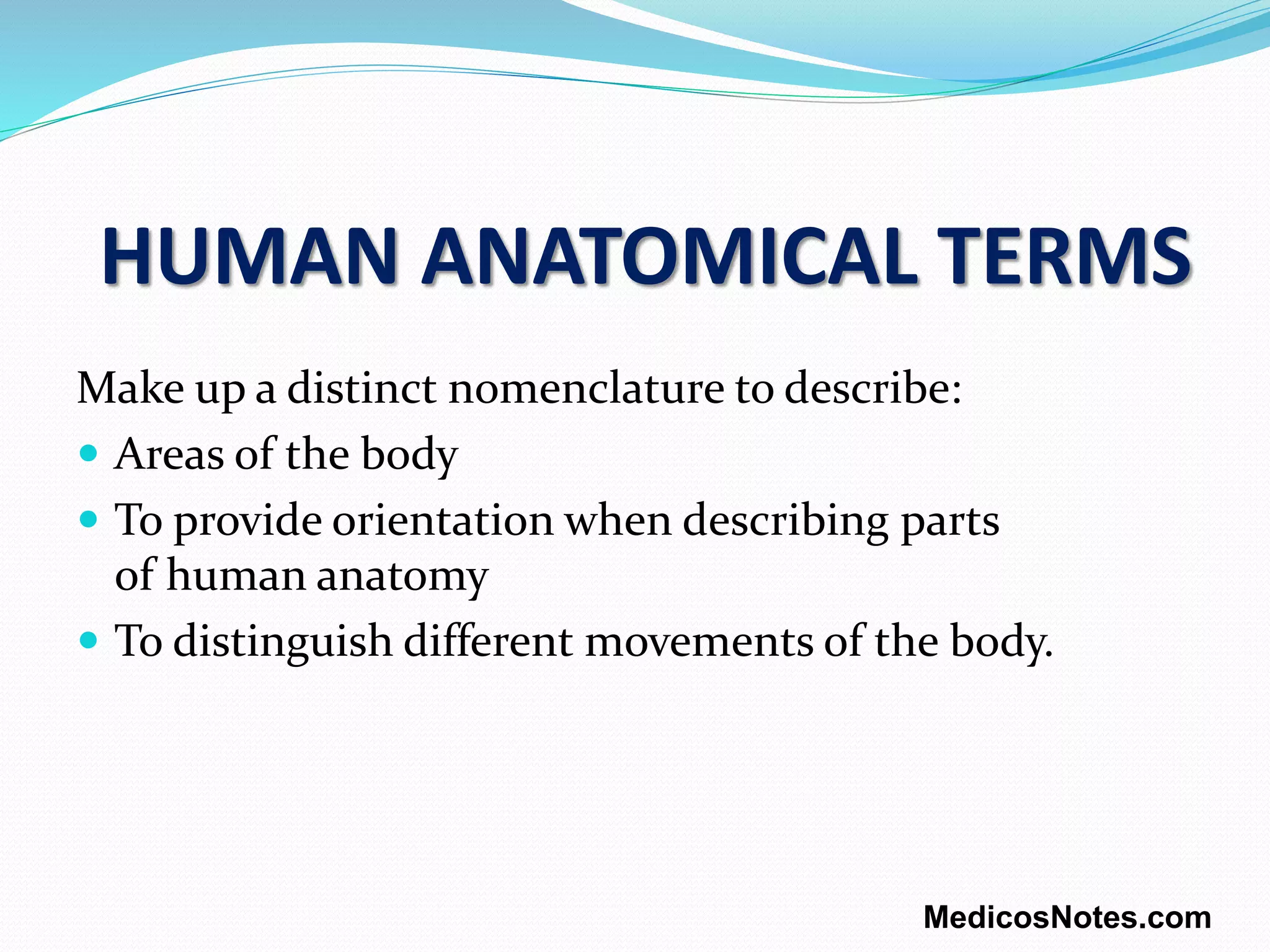 Anatomical terms medicosnotes.com