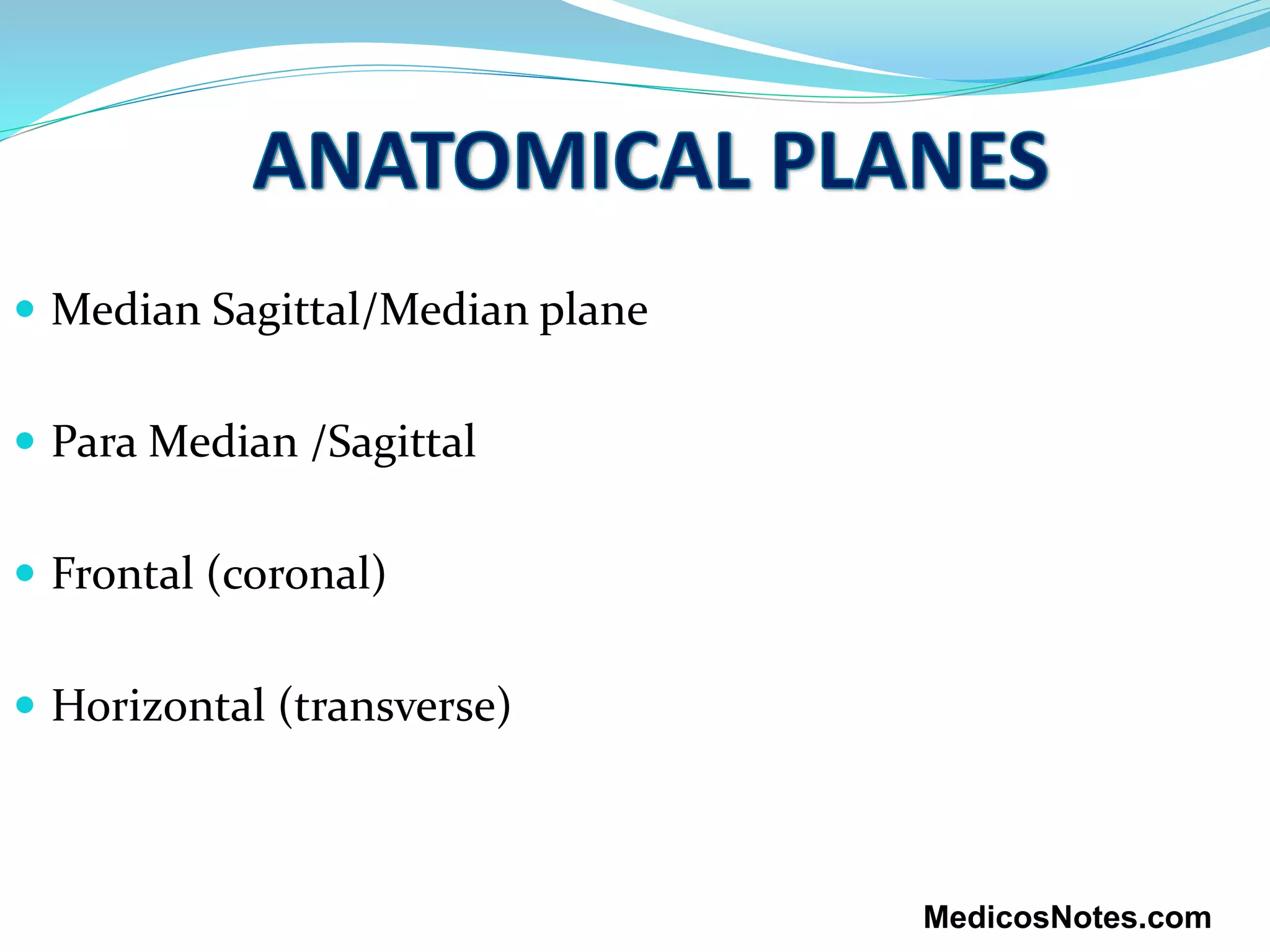 Anatomical terms medicosnotes.com