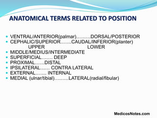 Anatomical terms medicosnotes.com | Biological Sciences | Science