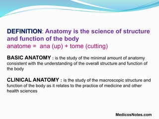 Anatomical terms medicosnotes.com | Biological Sciences | Science