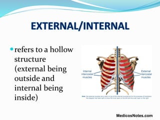 Anatomical terms medicosnotes.com
