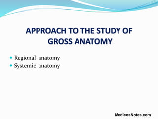 Anatomical terms medicosnotes.com | Biological Sciences | Science