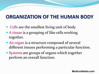 Anatomical terms medicosnotes.com | Biological Sciences | Science