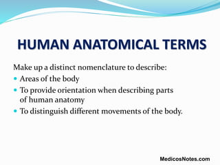 Anatomical terms medicosnotes.com | Biological Sciences | Science