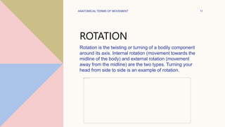 ANATOMICAL TERMS OF MOVEMENT.pptx