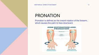 ANATOMICAL TERMS OF MOVEMENT.pptx