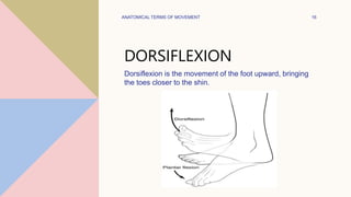 ANATOMICAL TERMS OF MOVEMENT.pptx