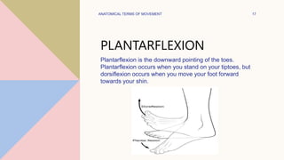 ANATOMICAL TERMS OF MOVEMENT.pptx