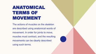 ANATOMICAL TERMS OF MOVEMENT.pptx