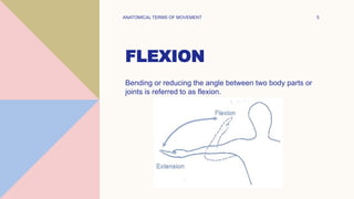 ANATOMICAL TERMS OF MOVEMENT.pptx