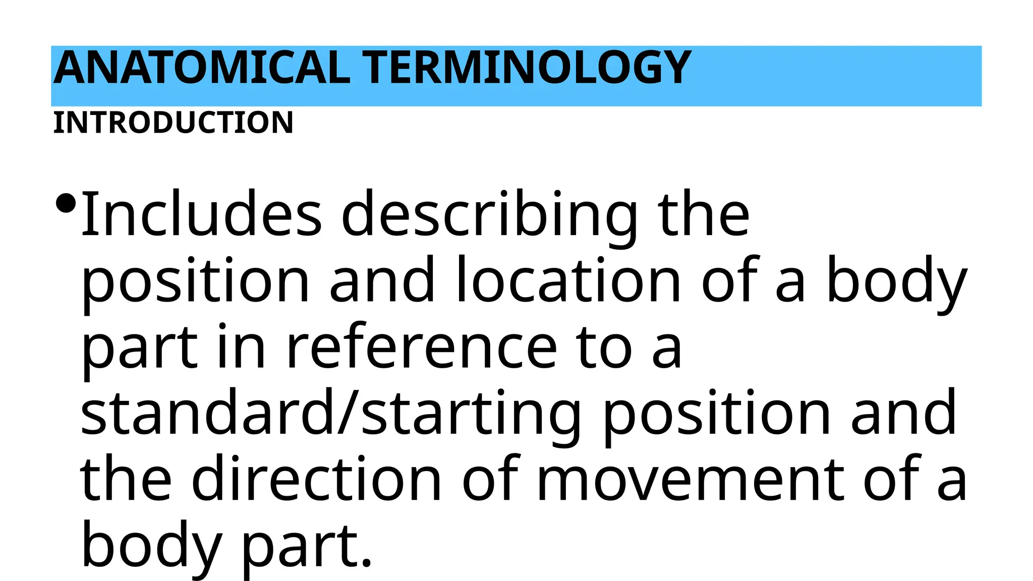 Anatomical Terms, Planes, Positions & Movements-3.pptx