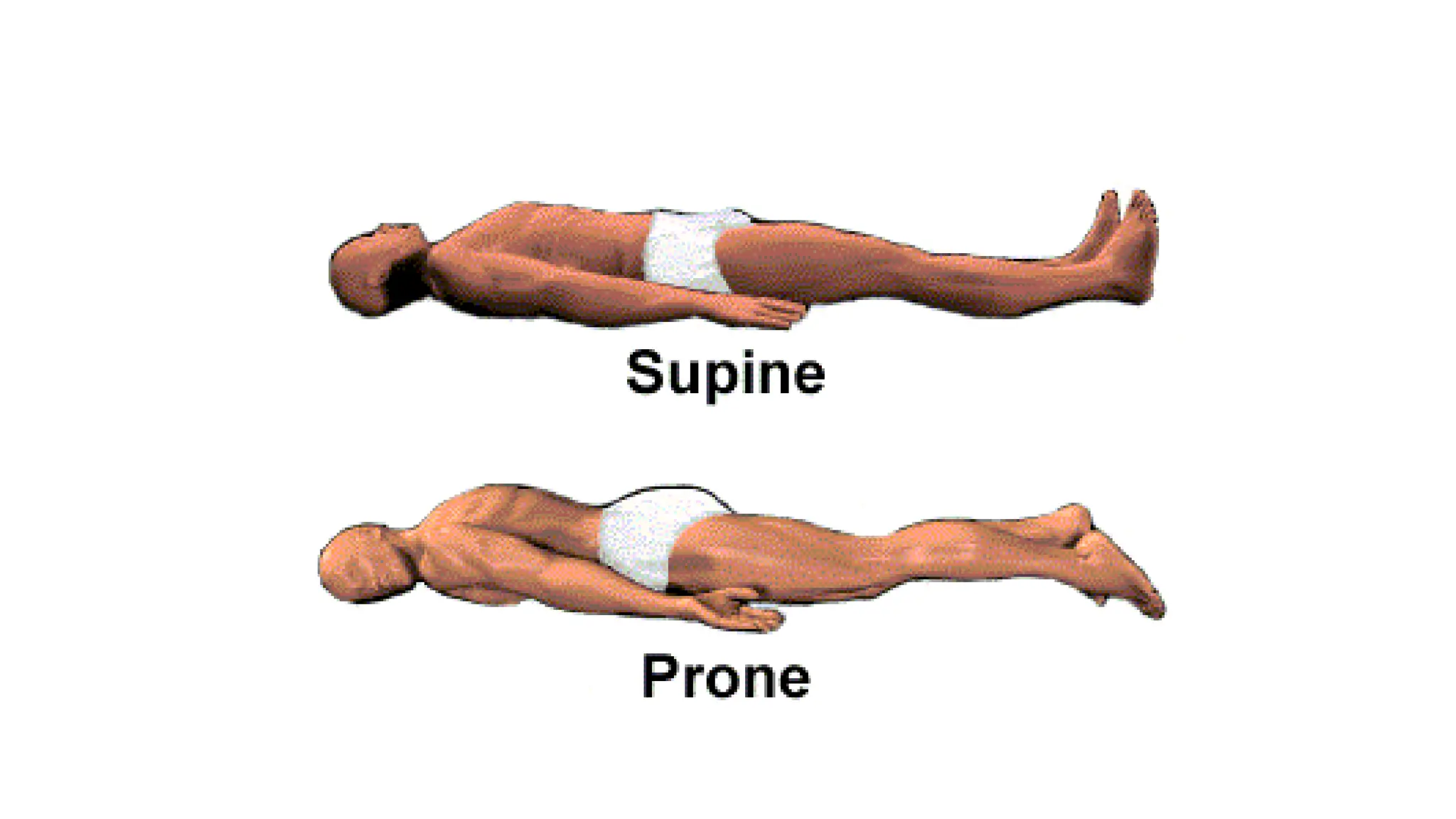 Anatomical Terms, Planes, Positions & Movements-3.pptx