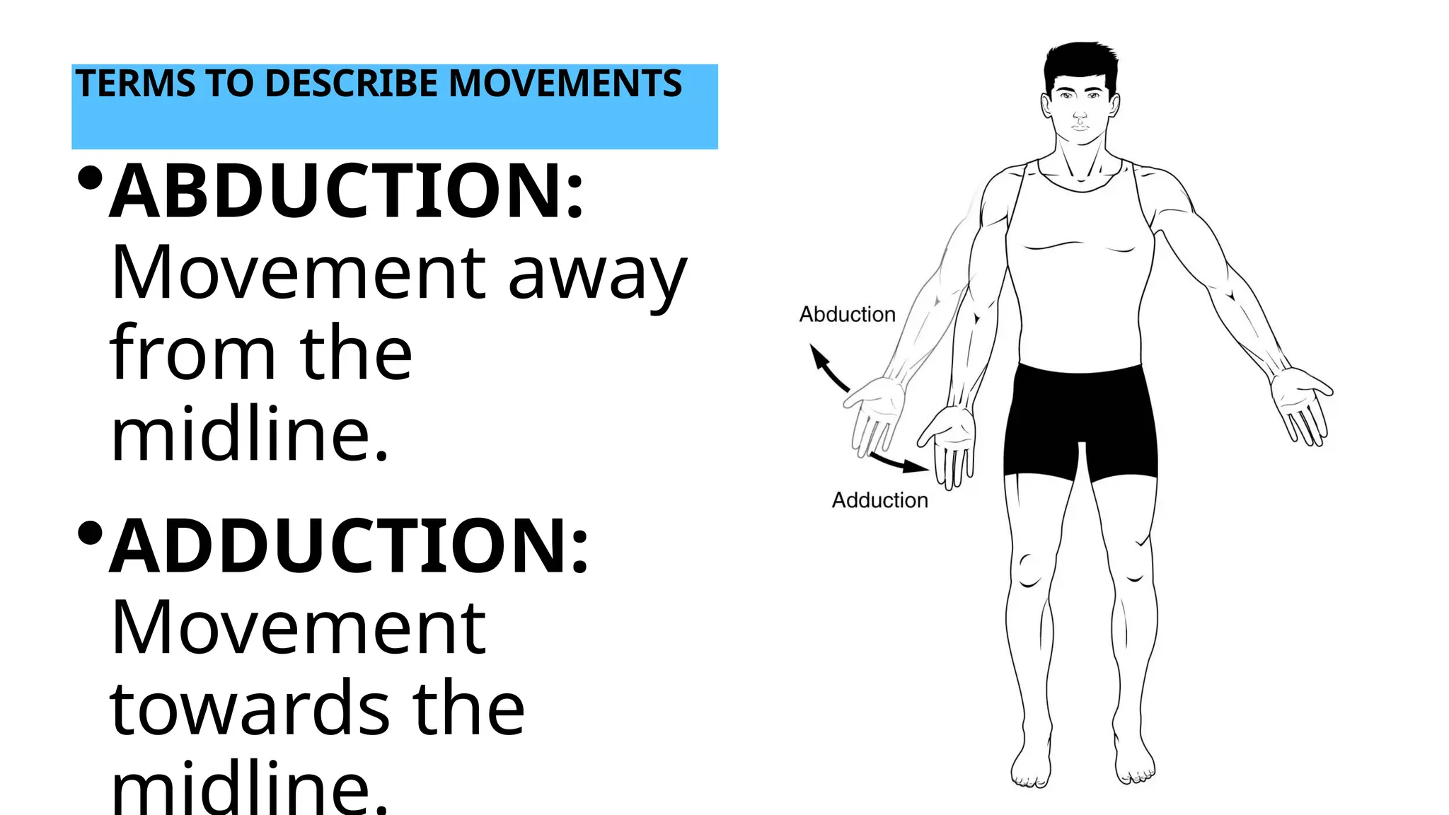 Anatomical Terms, Planes, Positions & Movements-3.pptx