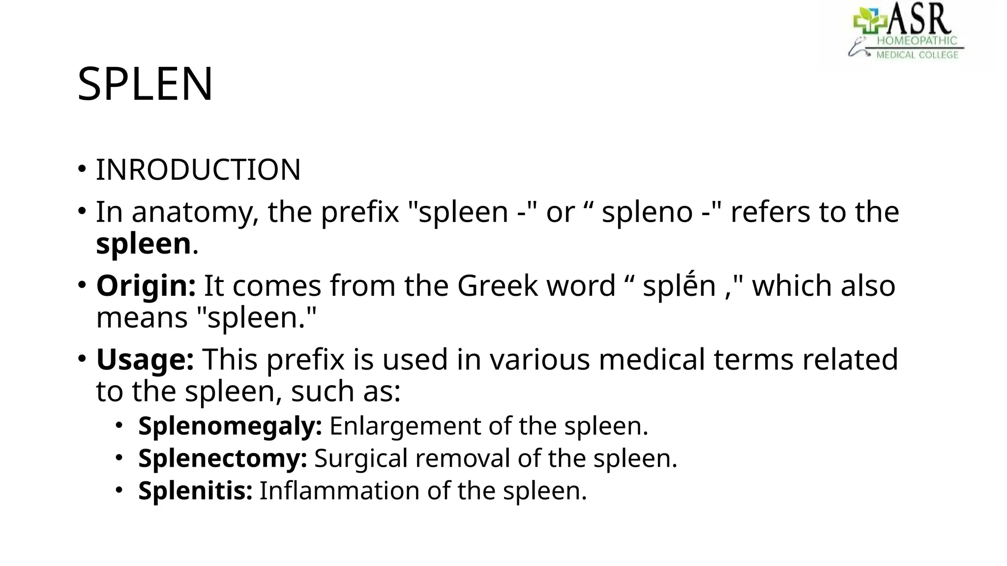Anatomical terms Splen and sclera pptsss | PPTX