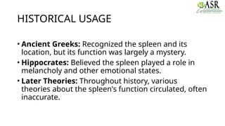 Anatomical terms Splen and sclera pptsss | PPT