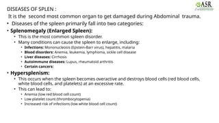 Anatomical terms Splen and sclera pptsss | PPT
