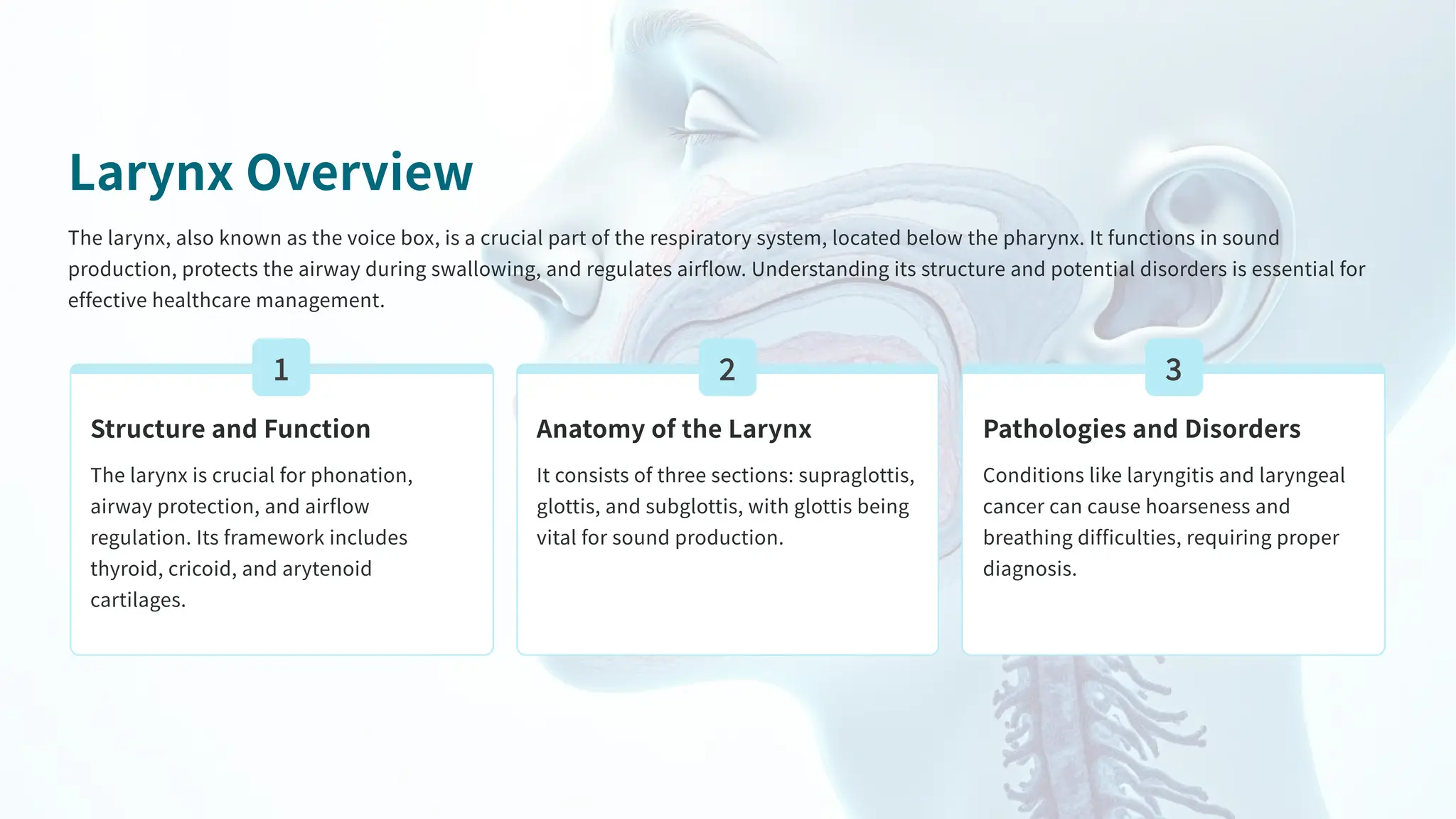 Anatomical Triangles and Glands and their function.pdf