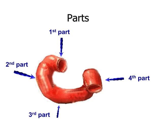 ANATOMICAL AND FUNCTIONAL VARIATIONS OF DUODENUM.ppt