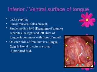 Anatomic and Physiologic Considerations of Tongue in Prosthodontics.pptx
