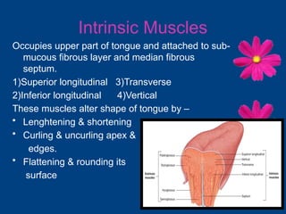 Anatomic and Physiologic Considerations of Tongue in Prosthodontics.pptx