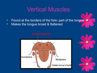 Anatomic and Physiologic Considerations of Tongue in Prosthodontics.pptx