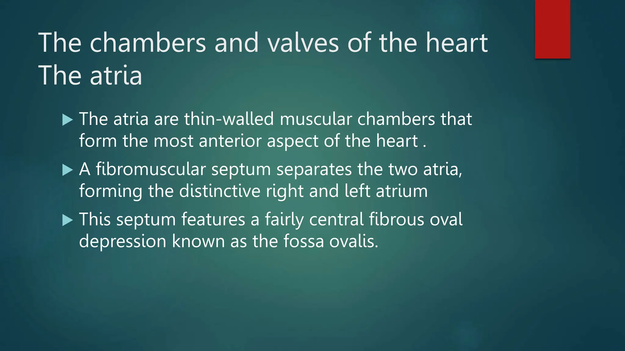 Anatomic and physiologic overview of Heart.pptx