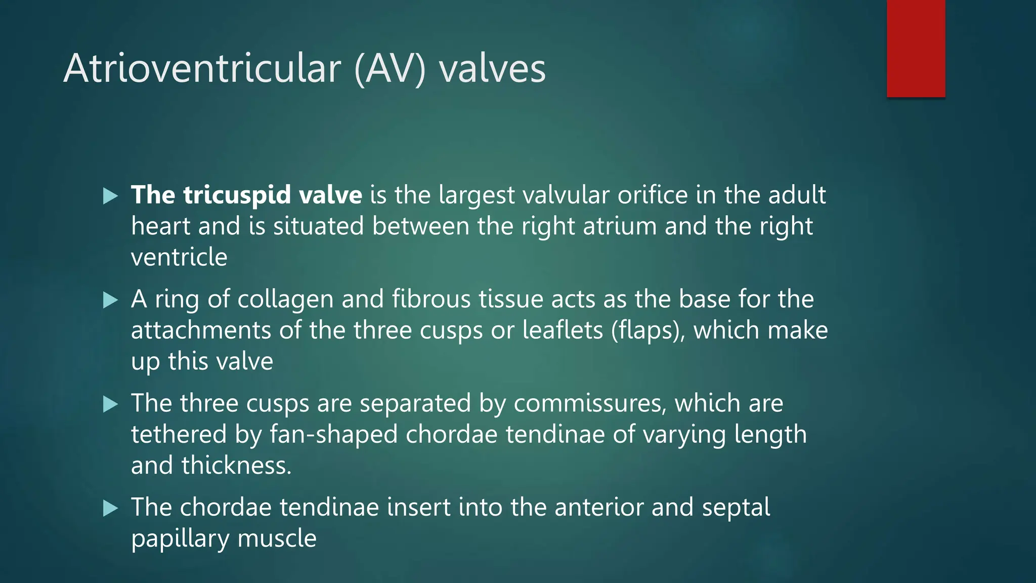 Anatomic and physiologic overview of Heart.pptx