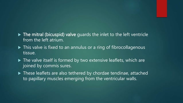 Anatomic and physiologic overview of Heart.pptx