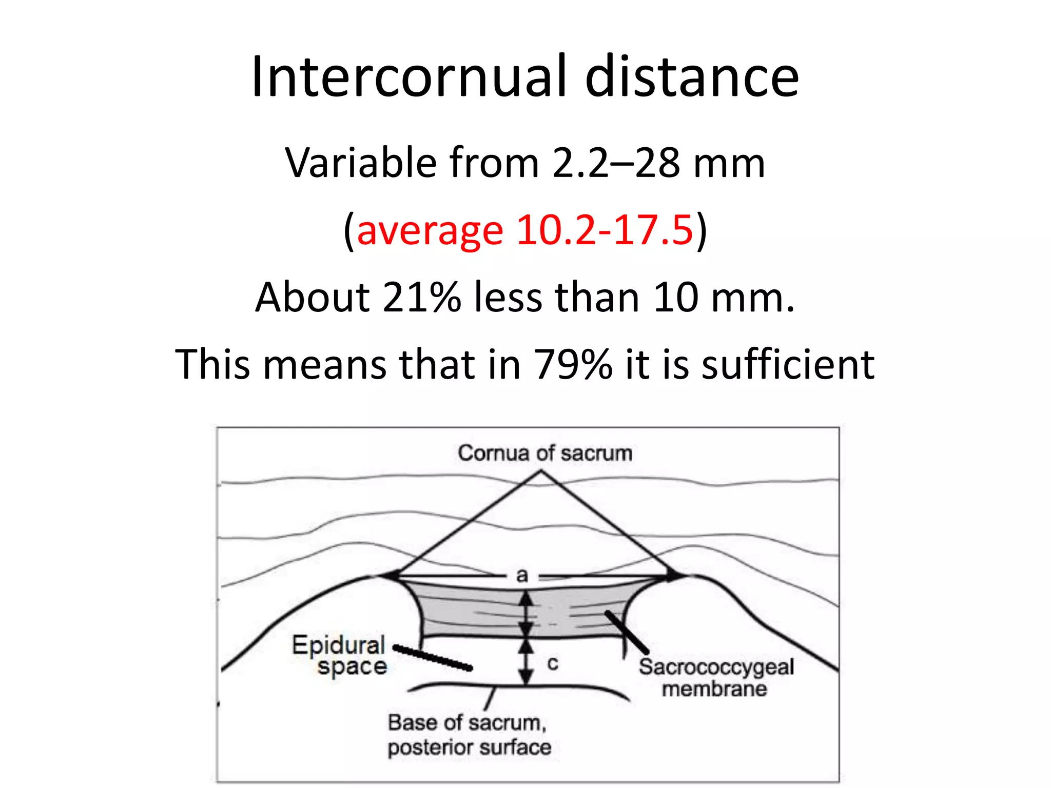 Anatomic basis of epiduroscopy | PPTX