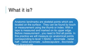 Anatomic brands , perimeters and basic measures | ODP | Bodybuilding ...