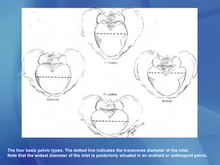 Anatomic characteristics of Fetal head and Pelvis.ppt