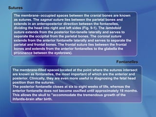 Anatomic characteristics of Fetal head and Pelvis.ppt