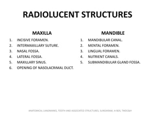 Anatomic landmarks seen in a IOPA | PPTX