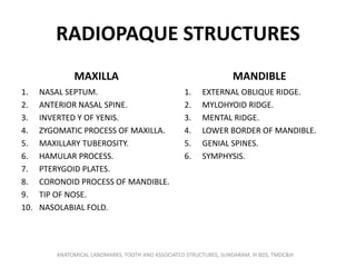 Anatomic landmarks seen in a IOPA | PPTX