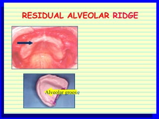 Anatomic landmarks for B.D.S students | PPT