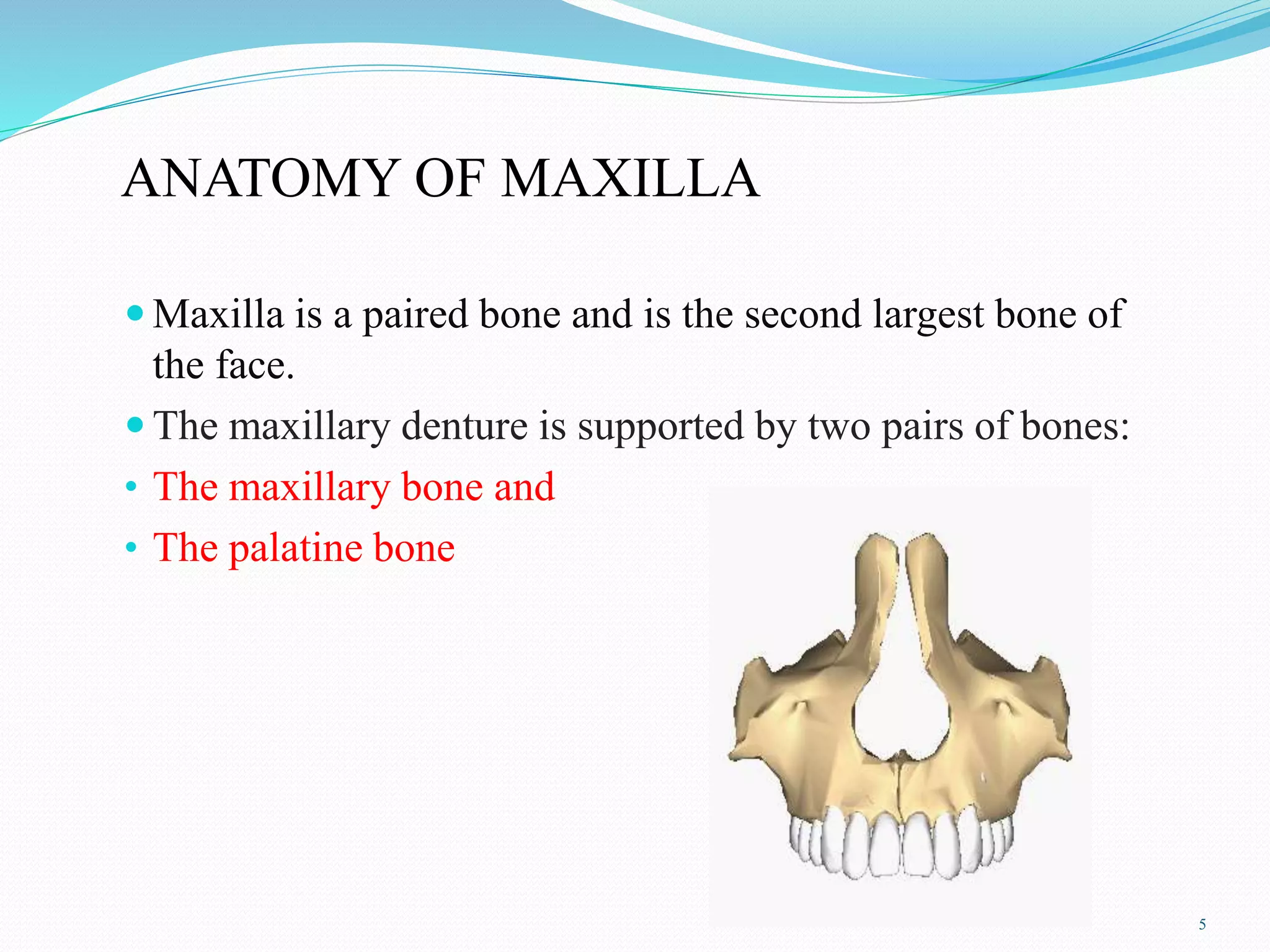 ANATOMIC LANDMARKS OF MAXILLA.pptx