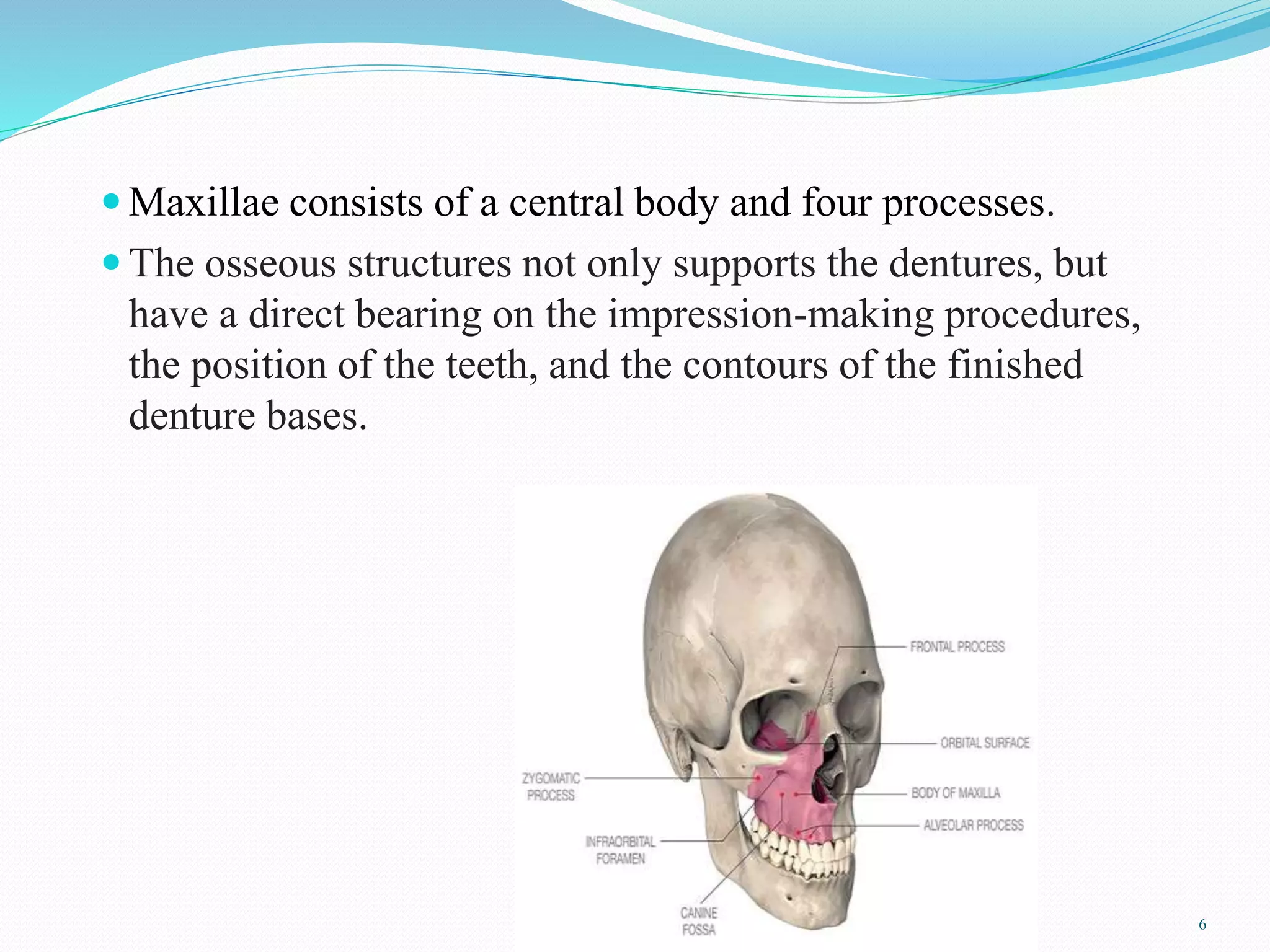 ANATOMIC LANDMARKS OF MAXILLA.pptx