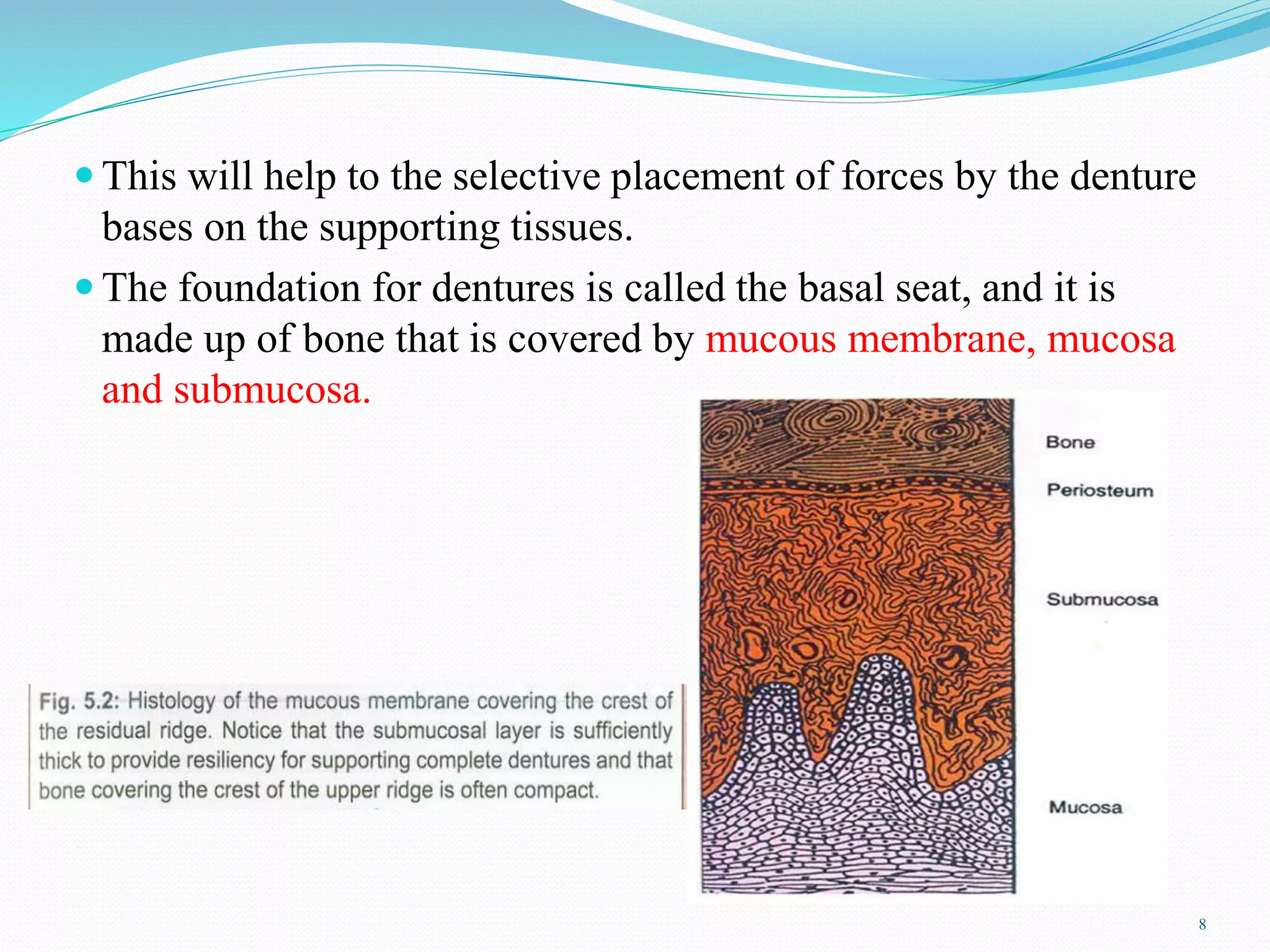 ANATOMIC LANDMARKS OF MAXILLA.pptx
