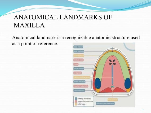 ANATOMIC LANDMARKS OF MAXILLA.pptx