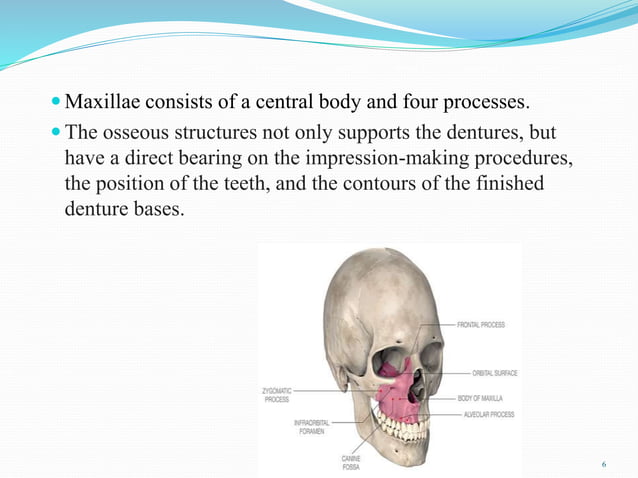 ANATOMIC LANDMARKS OF MAXILLA.pptx