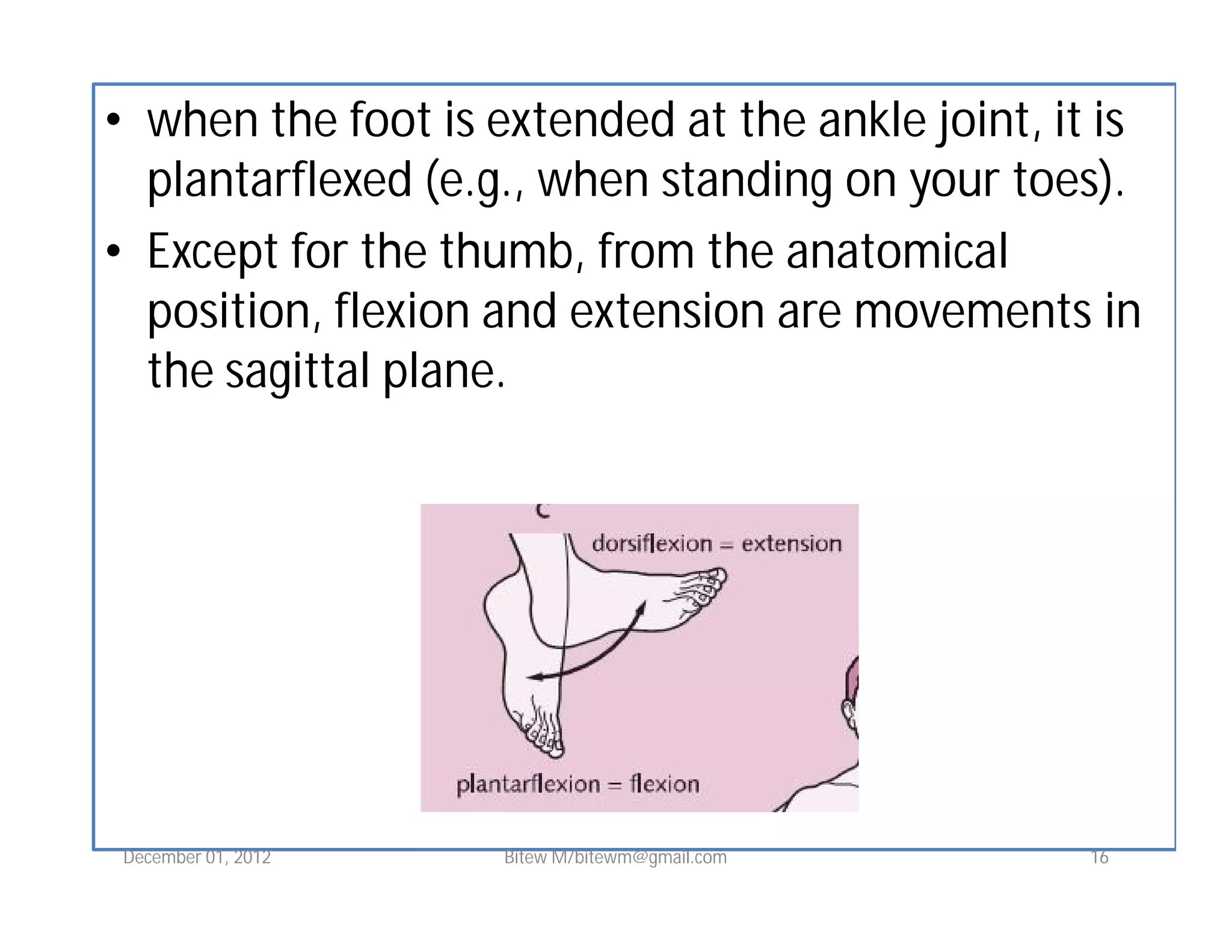 Anatomicomedical terminology ppt -by- Bitew | PDF
