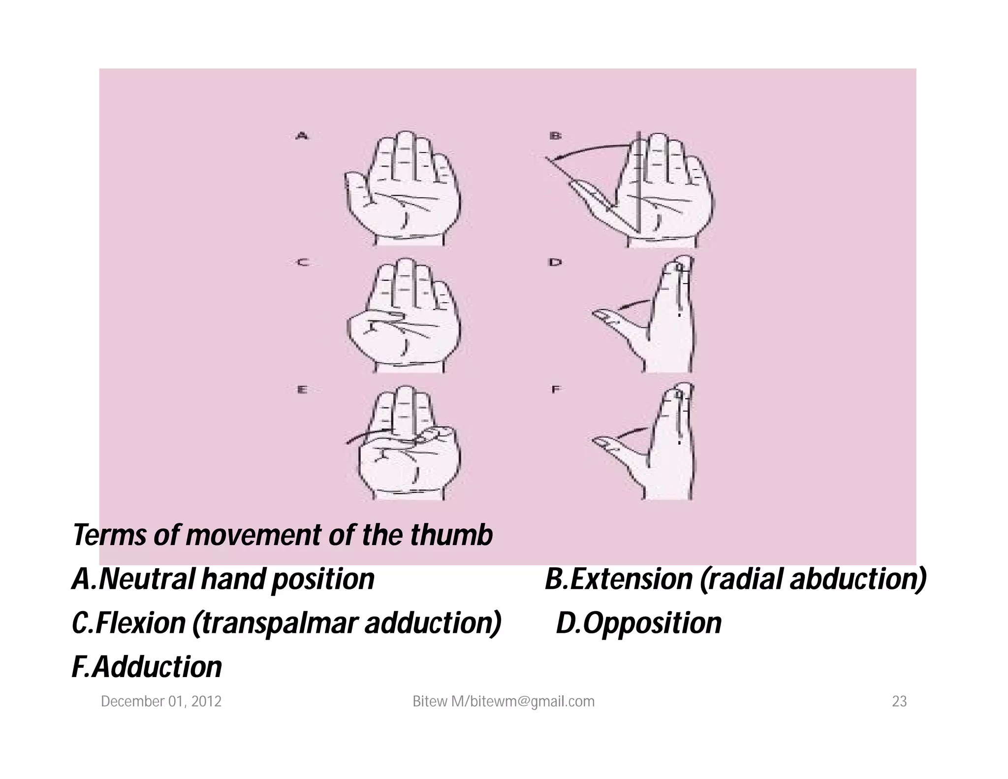 Anatomicomedical terminology ppt -by- Bitew | PDF