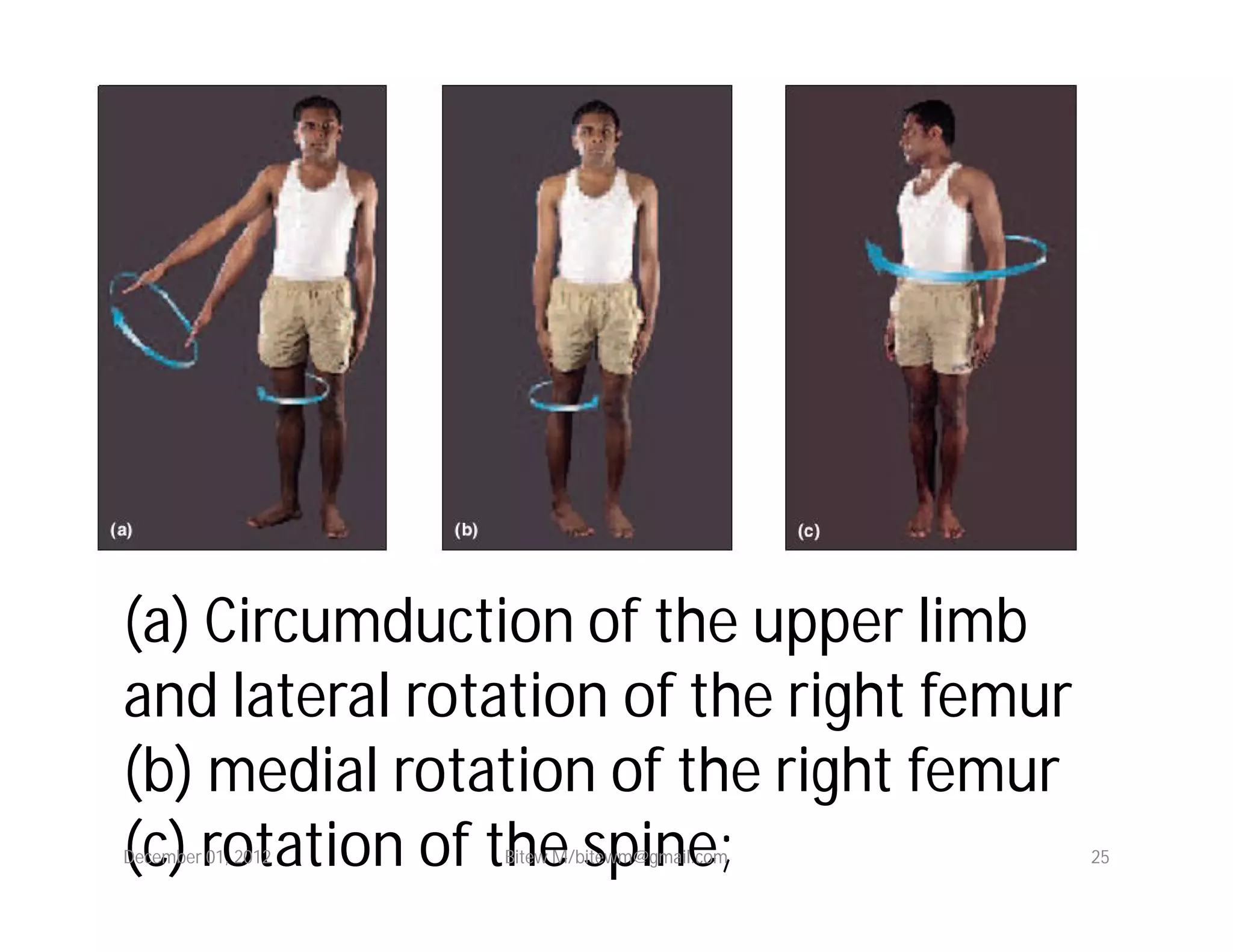 Anatomicomedical terminology ppt -by- Bitew | PDF